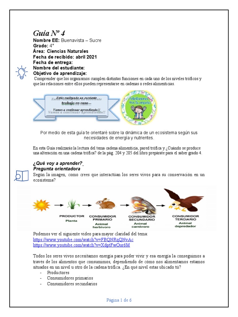 Cadena Alimenticia y Pirámide Trófica 4° | PDF | Red alimentaria ...