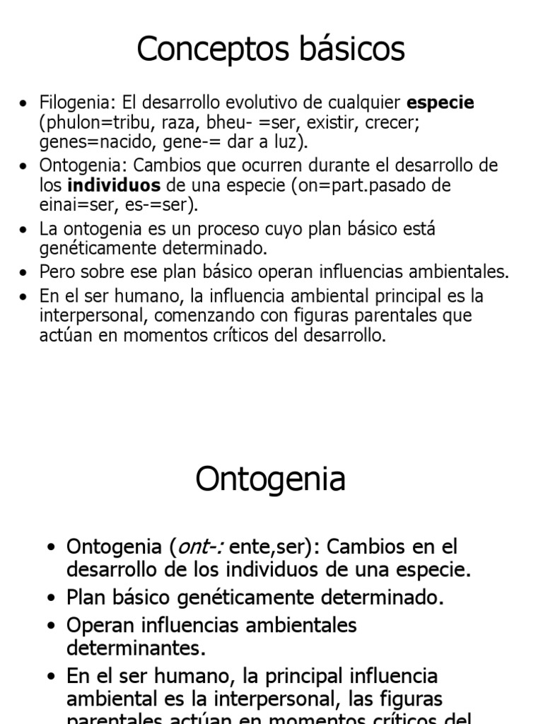 Clase 4 - Filogenia y Ontogenia | Cerebro | Ciencias de la tierra y de ...