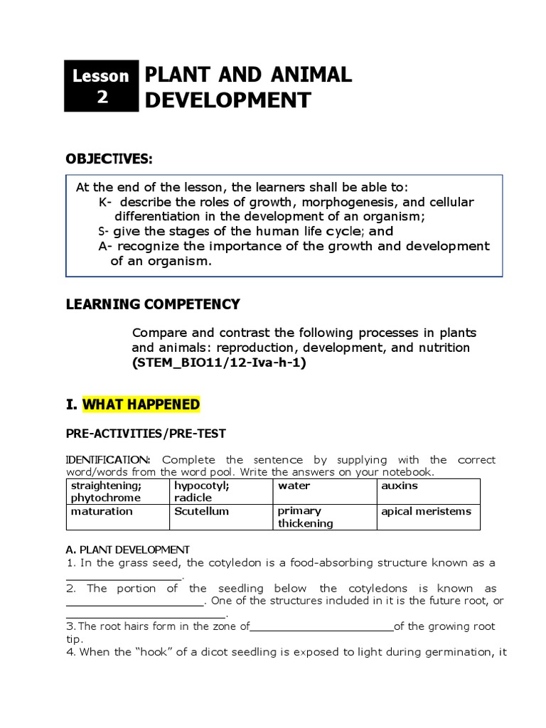 Plant and Animal Development: Lesson 2 | PDF | Seed | Embryo