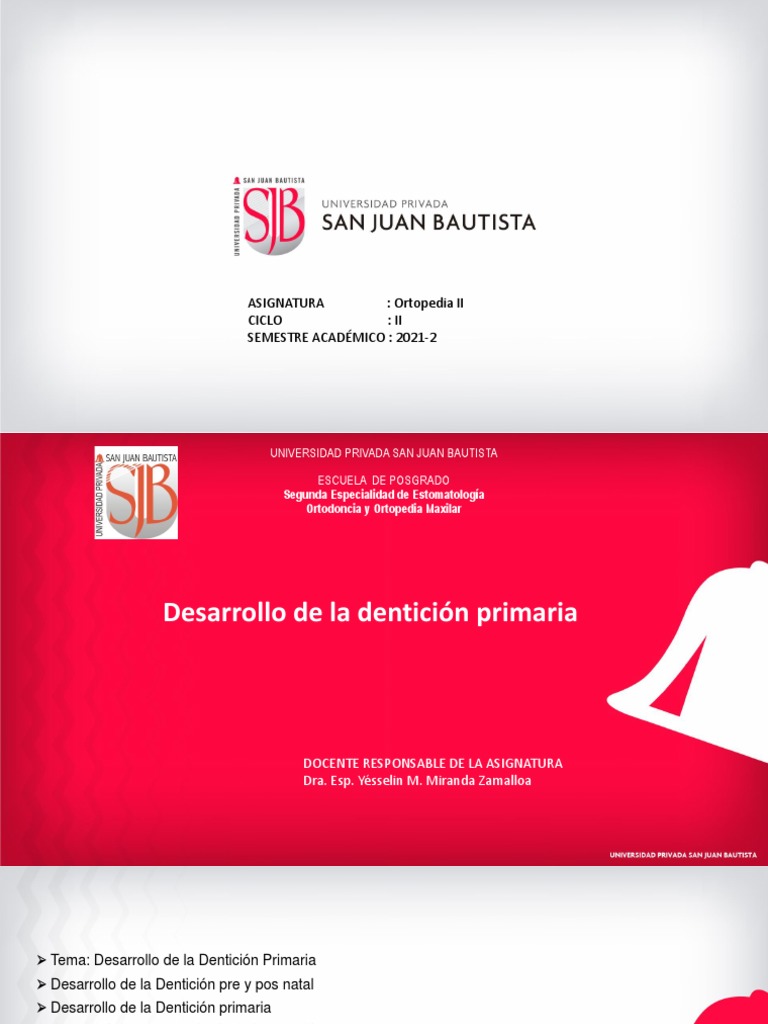 Desarrollo de La Dentición Primaria | PDF | Boca | Anatomia animal