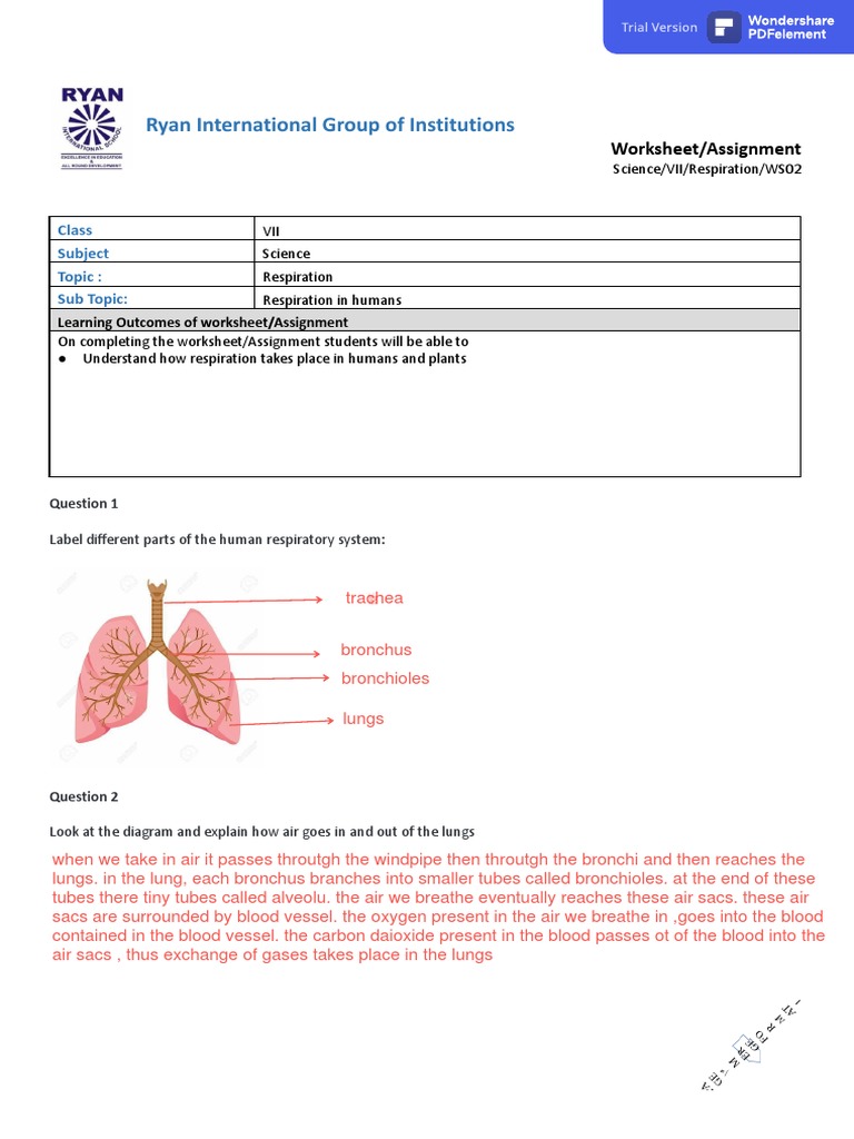 Ryan International Group of Institutions: Class Subject Topic: Sub Topic | PDF | Respiratory ...