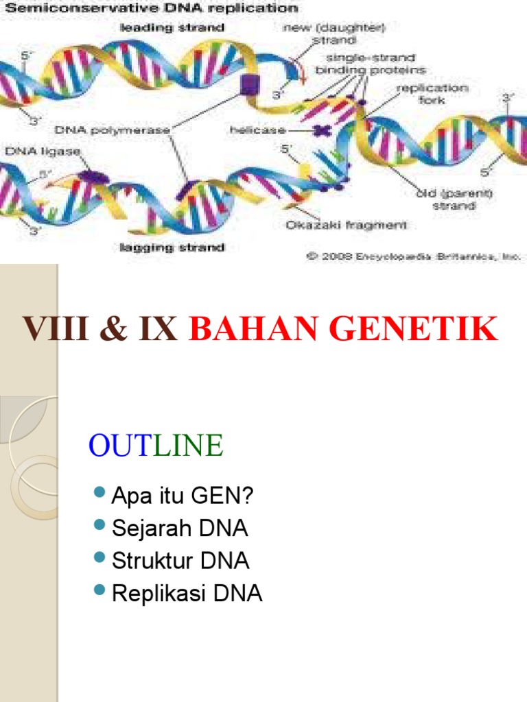 9 Dan 10.BAHAN GENETIK DAN KODE | PDF