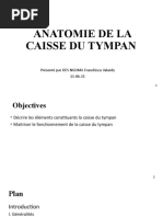 Variantes anatomiques des sinus faciaux | PDF | Anatomie humaine ...