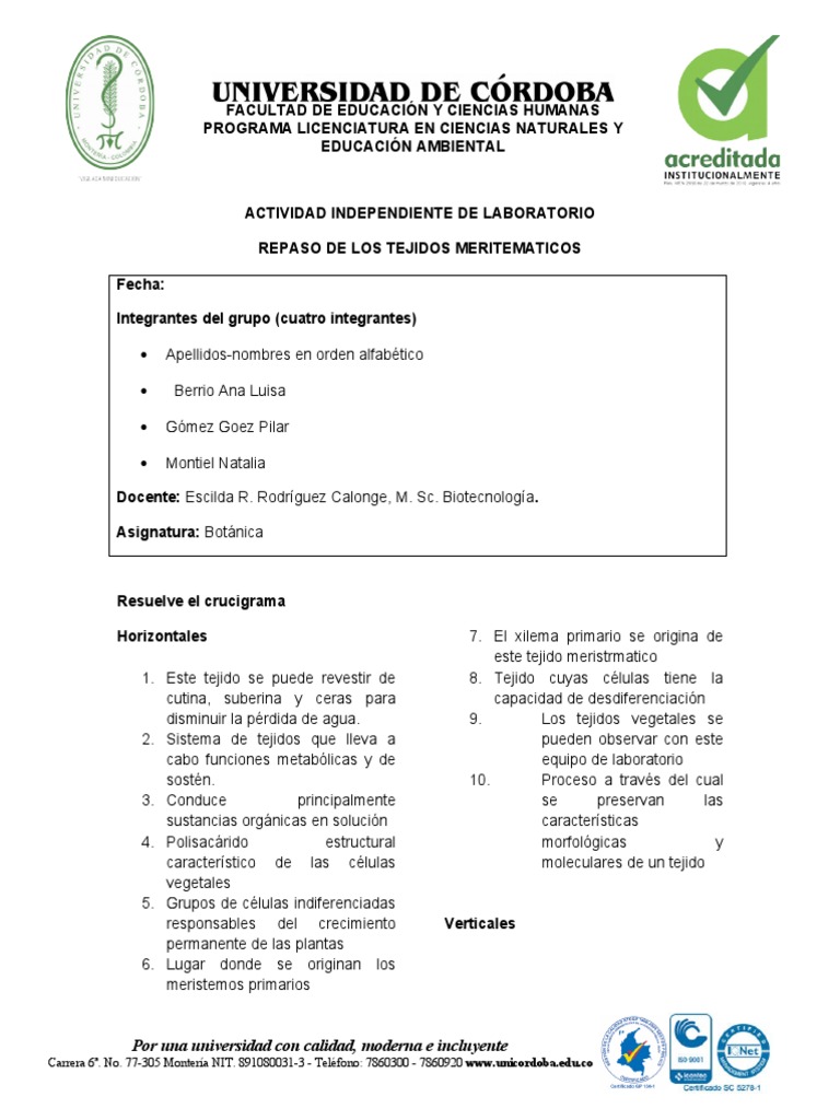 Actividad Labaratorio Tejidos Vegetales ANA-PILAR-NATALIA | PDF | Tallo ...