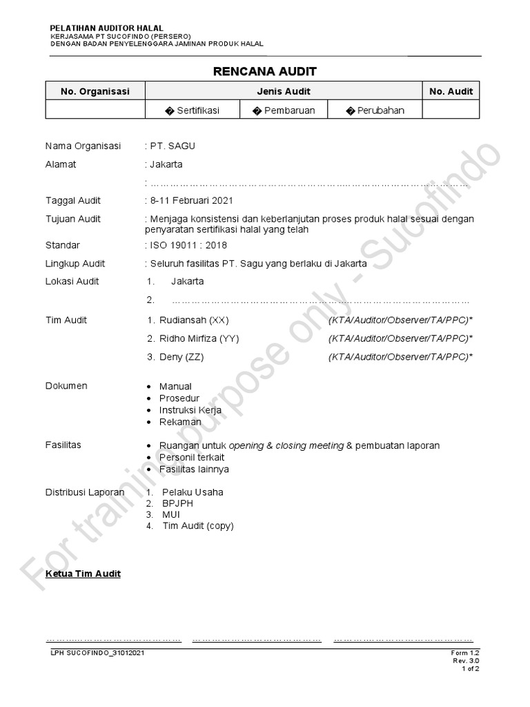 01 Contoh Audit Plan (SIMULASI) | PDF