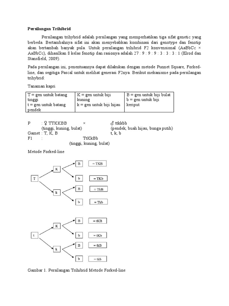 Persilangan Trihibrid | PDF
