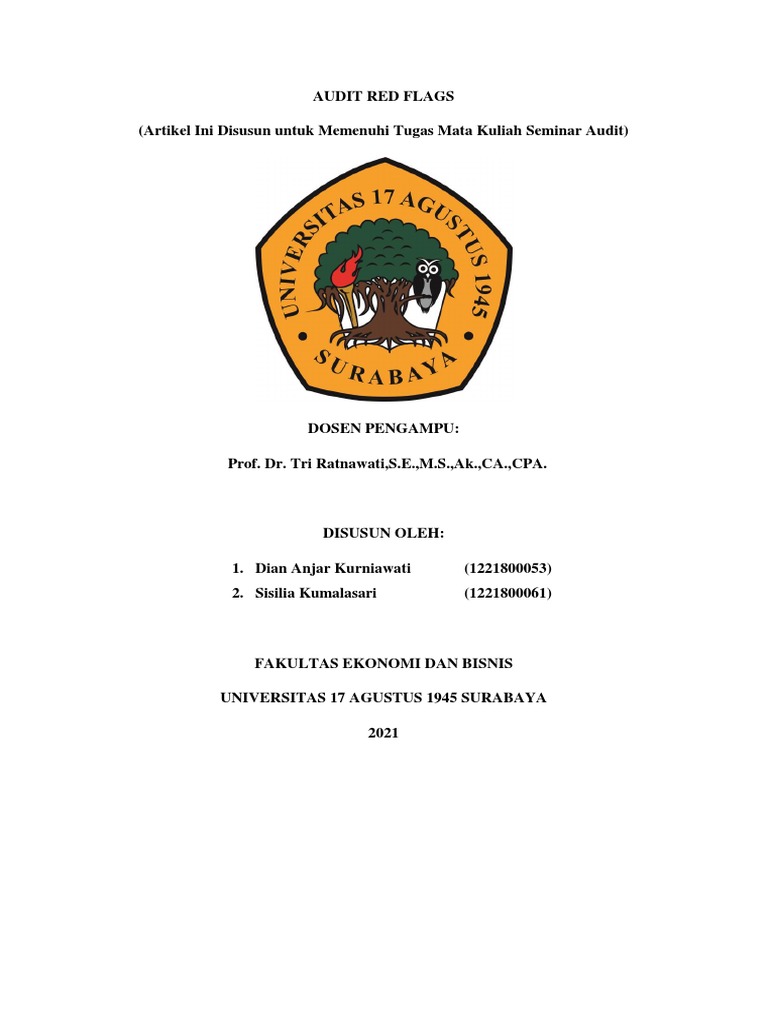 AUDIT RED FLAGS | PDF
