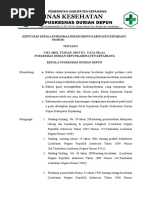 Contoh SK Inovasi Program PKM | PDF