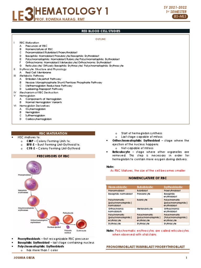 Prof. Rowena Narag, RMT: Red Blood Cell Studies | PDF | Red Blood Cell ...