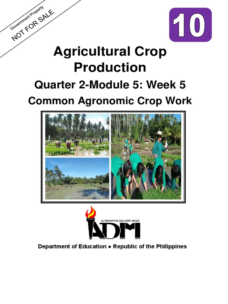 Agricultural Crop Production: Quarter 2-Module 5: Week 5 | PDF ...