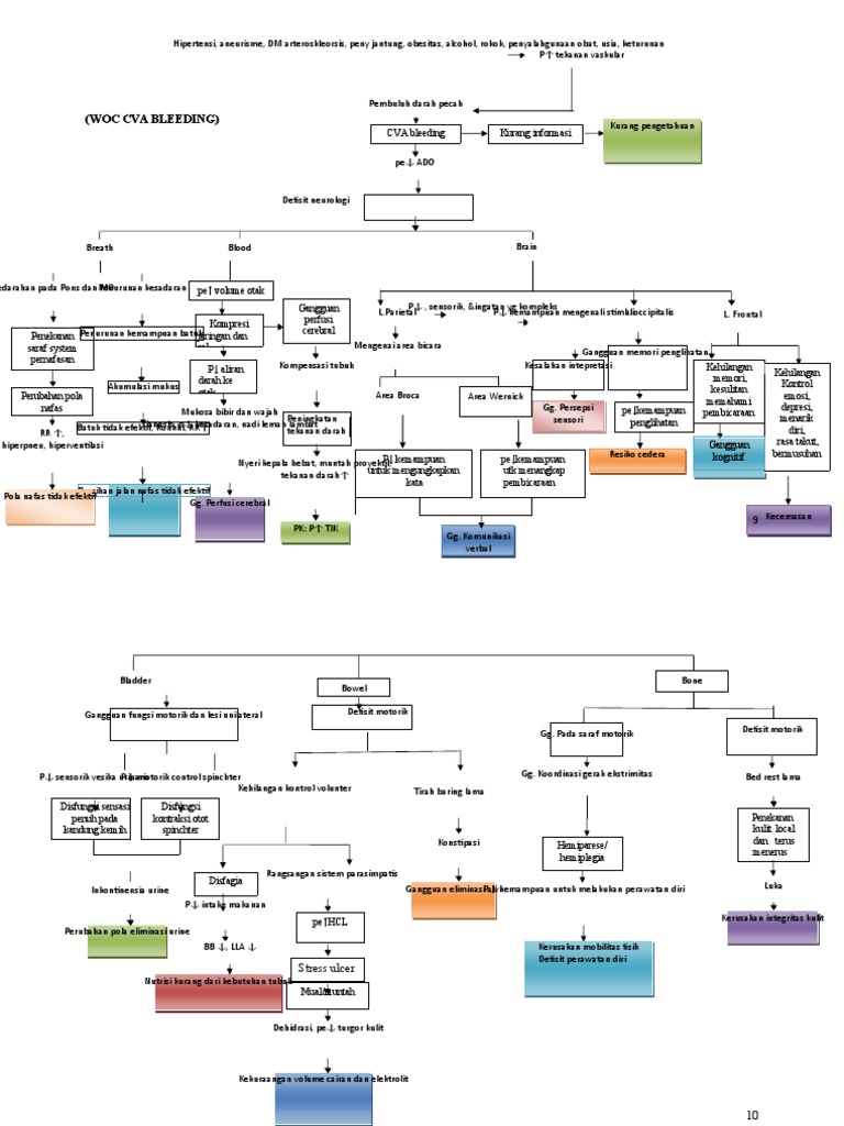 4-A - Kelompok 1 Adrenalin - Woc Cva Bleeding | PDF