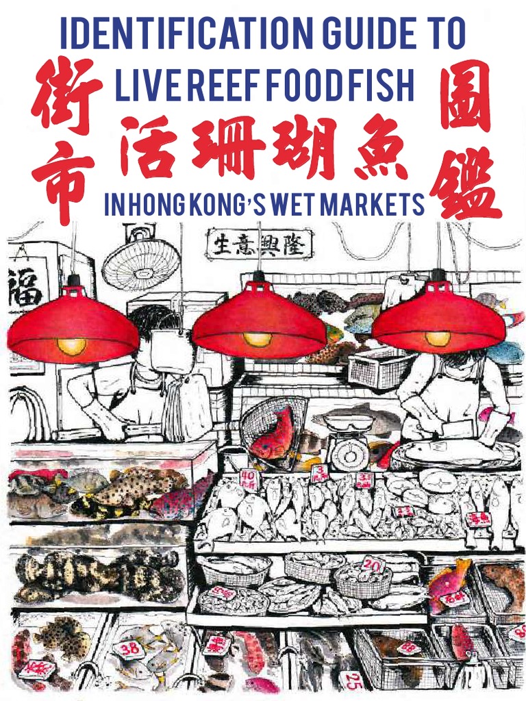 BK - Fish Identification | PDF