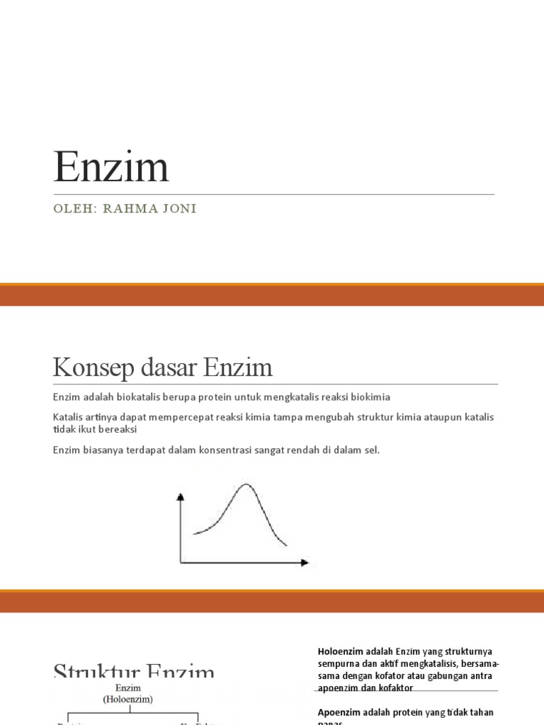 Enzim | PDF