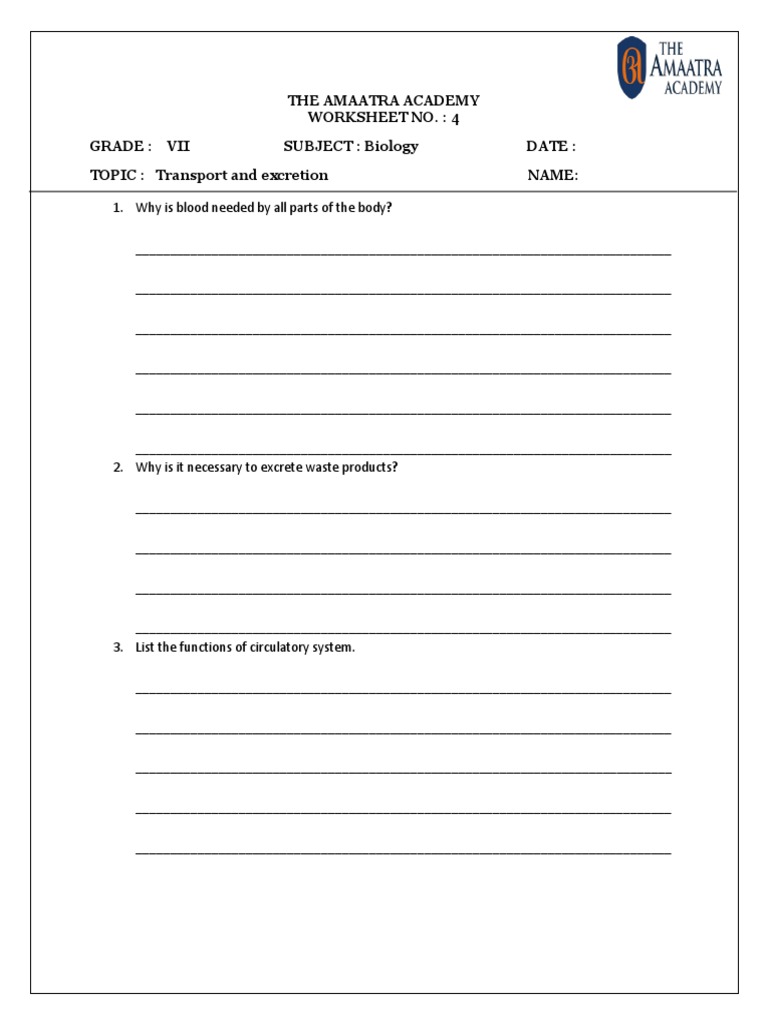 Transport and Excretion Worksheet 2 | PDF | Circulatory System | Artery