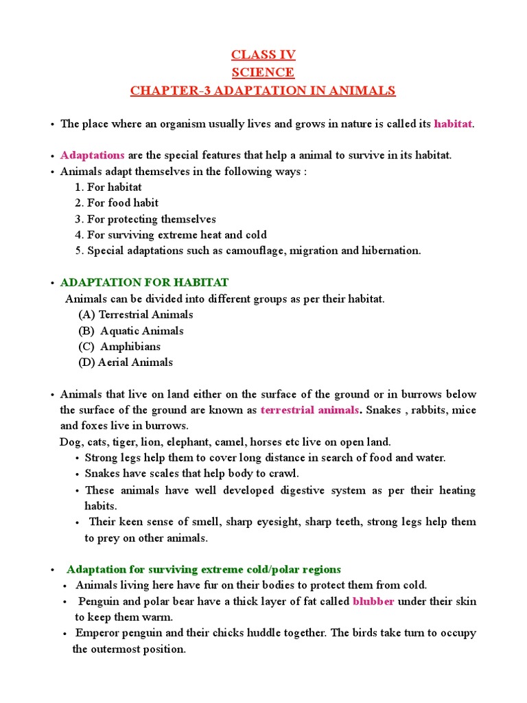 Class 4 - Science Chapter - 3 Adaptations in Animals | PDF | Birds ...