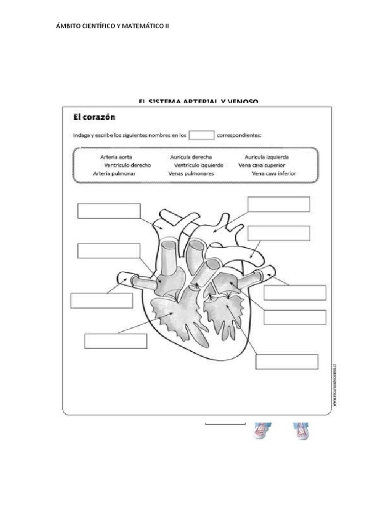 Esquemas del Corazón en Matemáticas | PDF