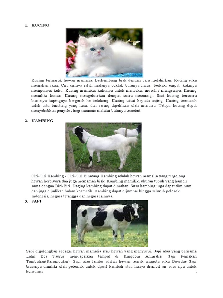 Kliping Hewan-Hewan | PDF