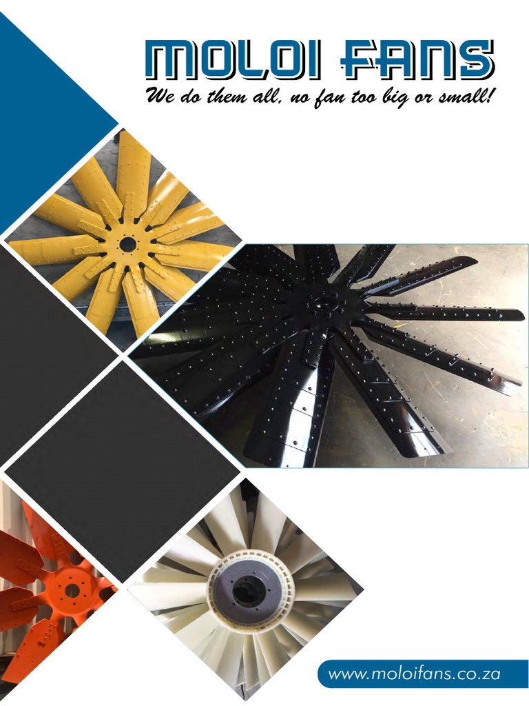 Moloi Fans: Cooling Solutions for Industry | PDF | Gas Technologies ...