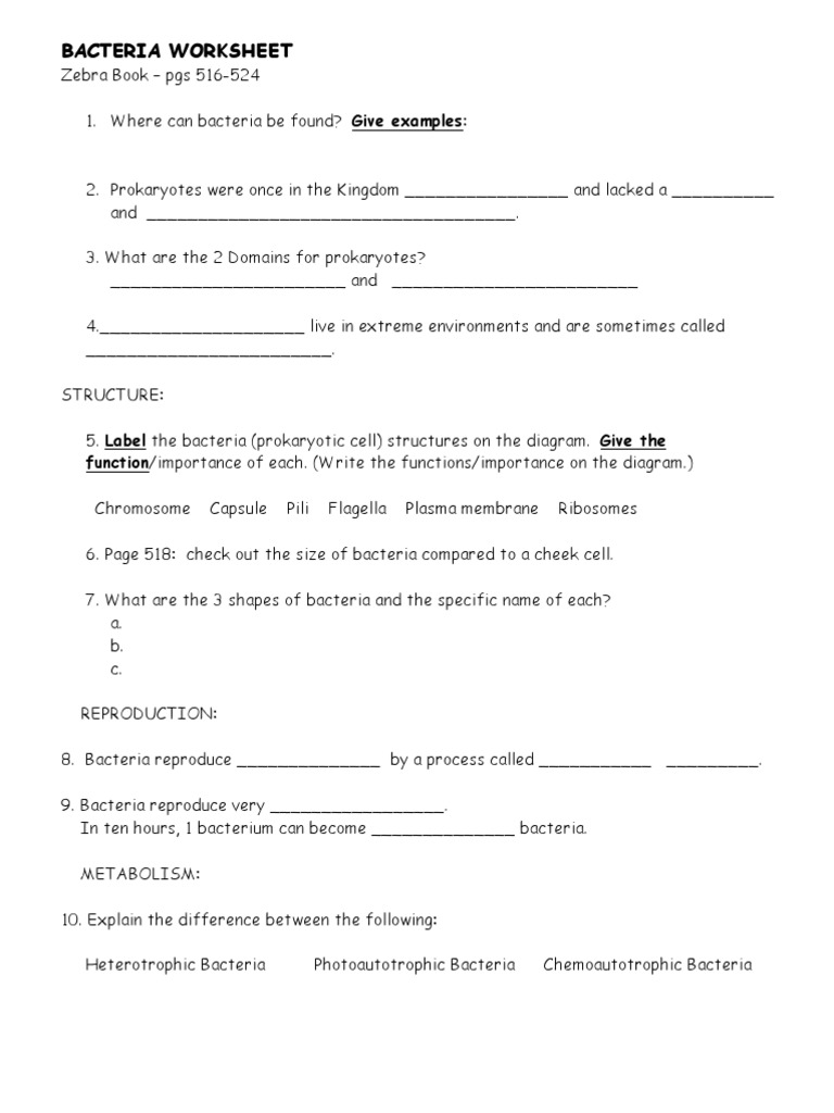 Bacteria Study Guide and Worksheet | PDF
