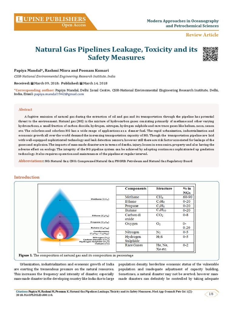 Natural Gas Pipelines Leakage, Toxicity and Its Safety Measures | PDF ...