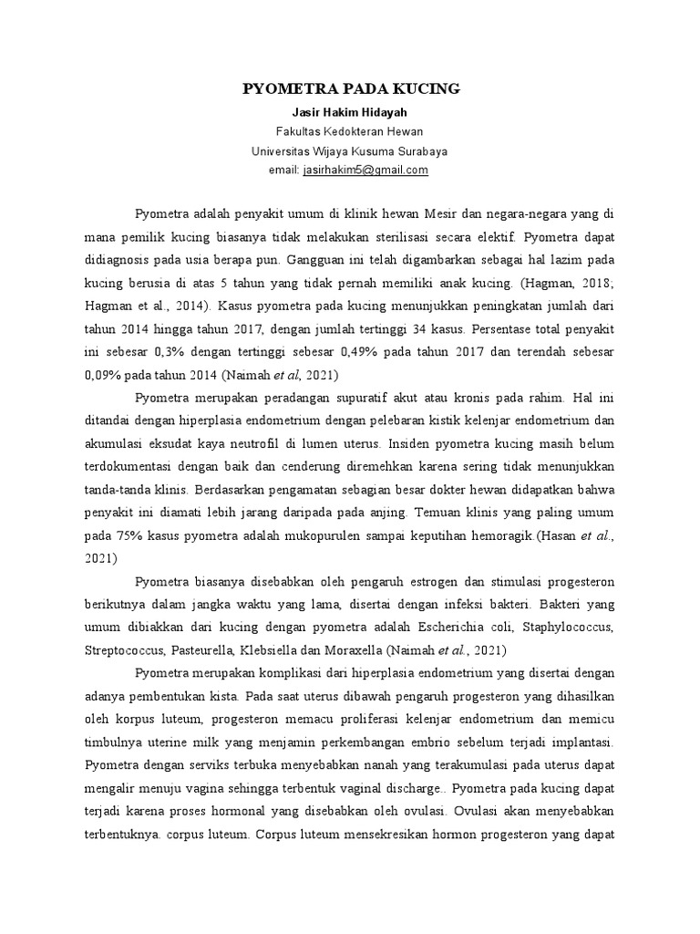 Pyometra Pada Kucing | PDF