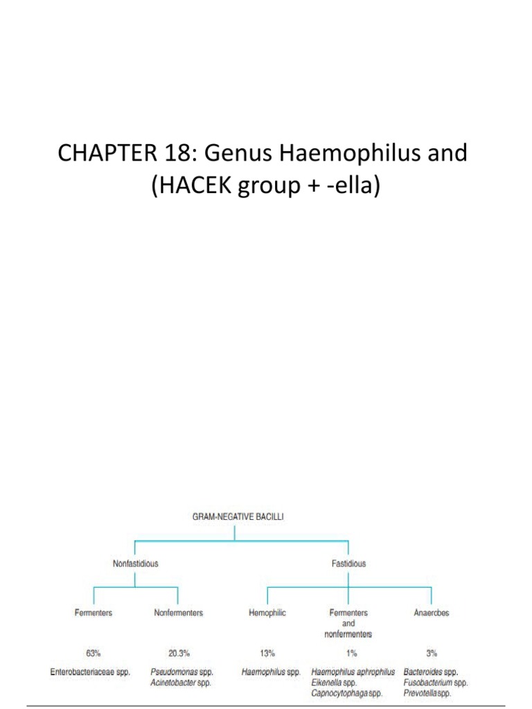 (Updated) CHAPTER 18 Haemophilus (HACEK + - Ella) | PDF | Microbiology ...