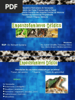 Indicaciones de Suero Antiviperino | PDF | Rtt | Especialidades Medicas