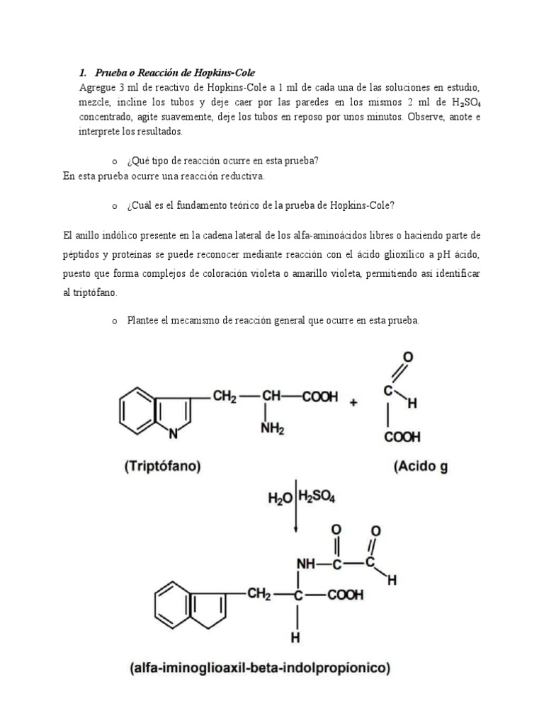 Prueba o Reacción de Hopkins-Cole | PDF | Aminoácidos | Proteínas