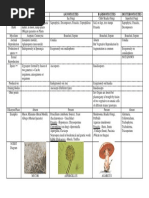 Ploidy Chart for Flowering Plant Reproduction | PDF