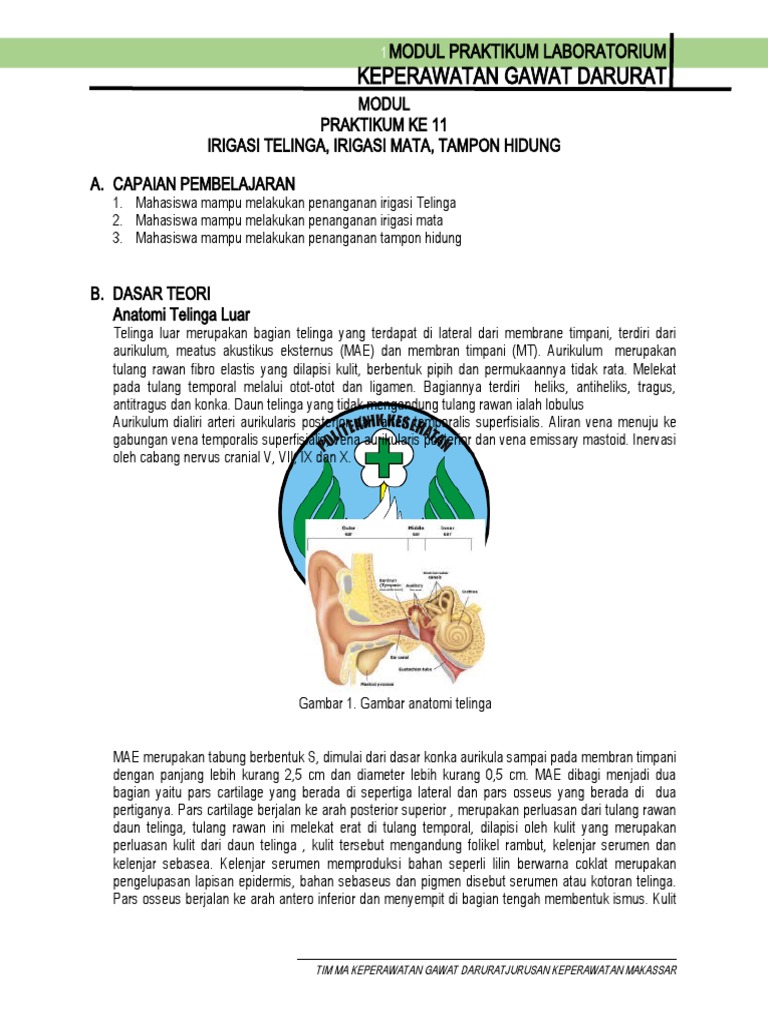 Modul IRIGASI TELINGA MATA DAN TAMPON | PDF | Sains & Matematika