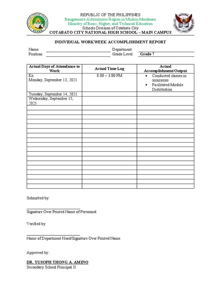 Individual Workweek Accomplishment Report | PDF
