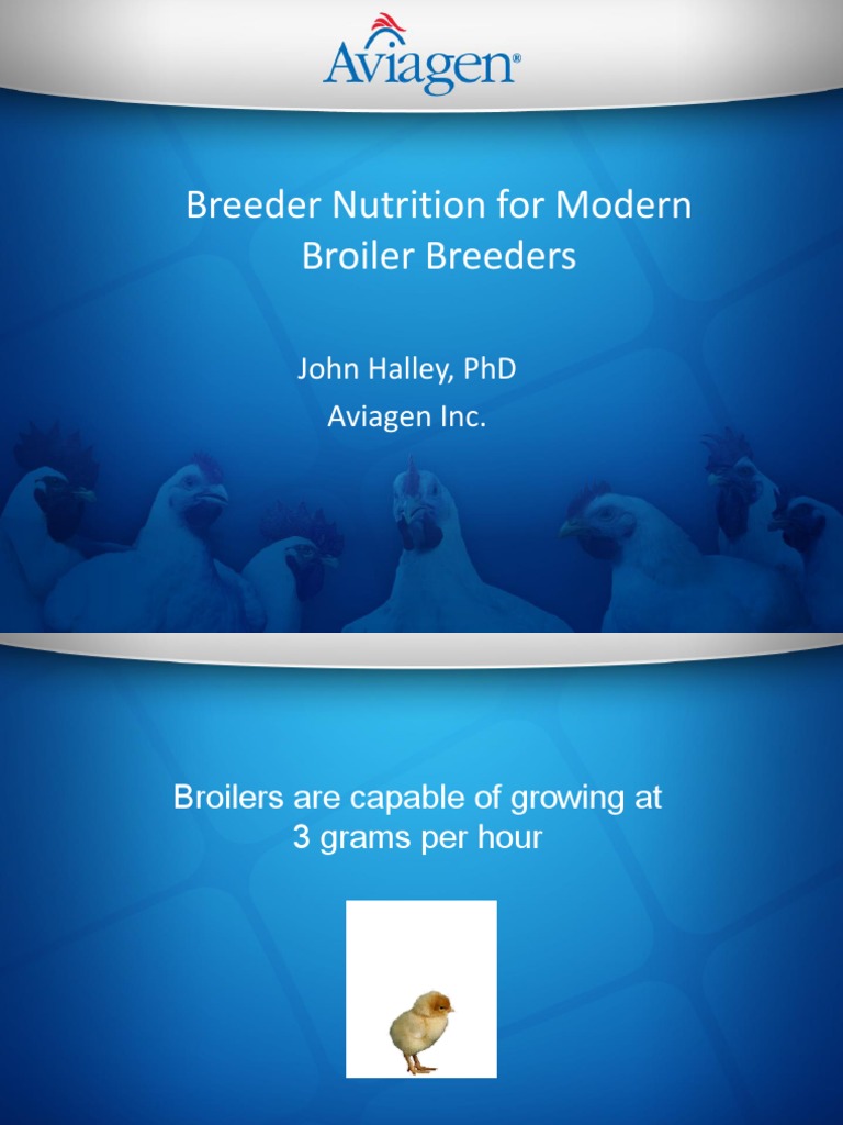 Aviagen Breeder Feeding Intro | PDF | Nutrients | Broiler