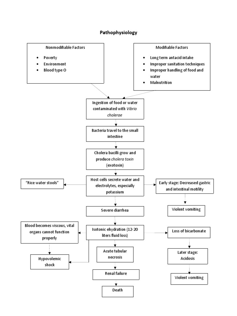 Cholera Pathophysiology | PDF