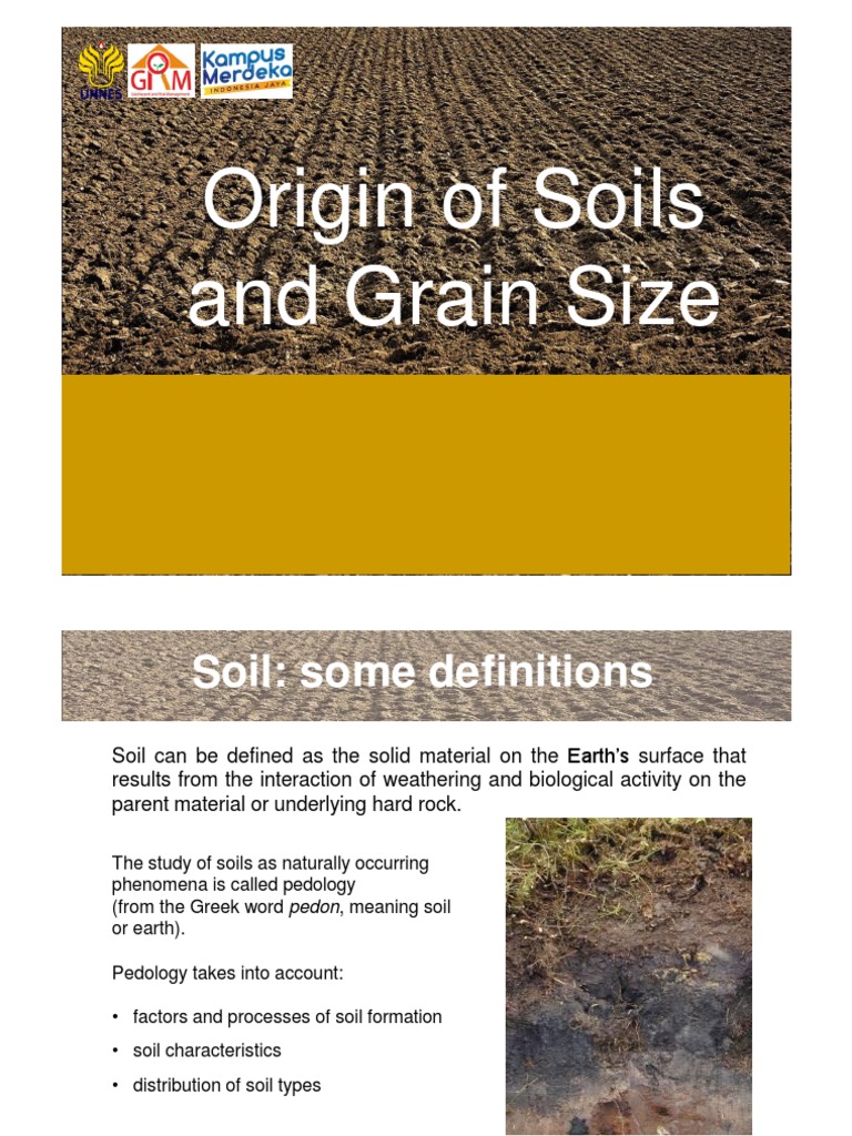 Understanding Soil Formation: An In-Depth Examination of the Key ...