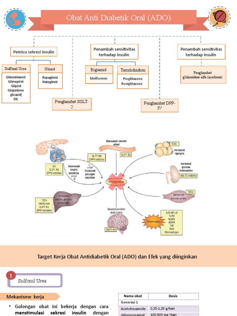 Diabetes Mellitus Slide 13-14 (Obat ADO) | PDF
