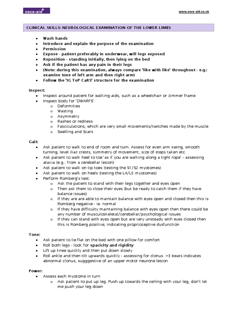 Ex - Neuro LL | PDF | Musculoskeletal System | Nervous System