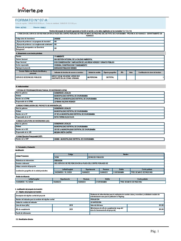 Formato 07A - Perfil Plaza - Pagshag | PDF | Tasa interna de retorno | Economias