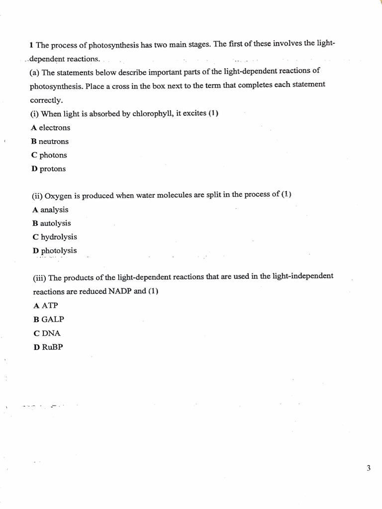 A Electrons B Neutrons: Bgalp Cdna | PDF | Photosynthesis ...