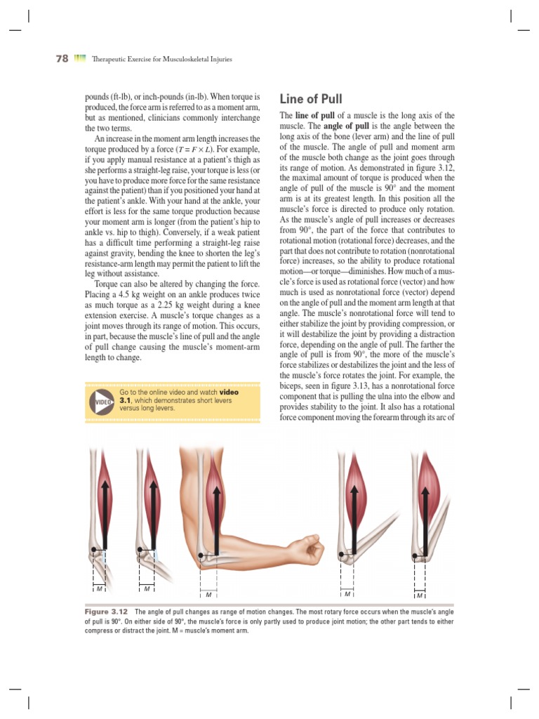 Line of Pull: Go To The Online Video and Watch Video Versus Long Levers ...