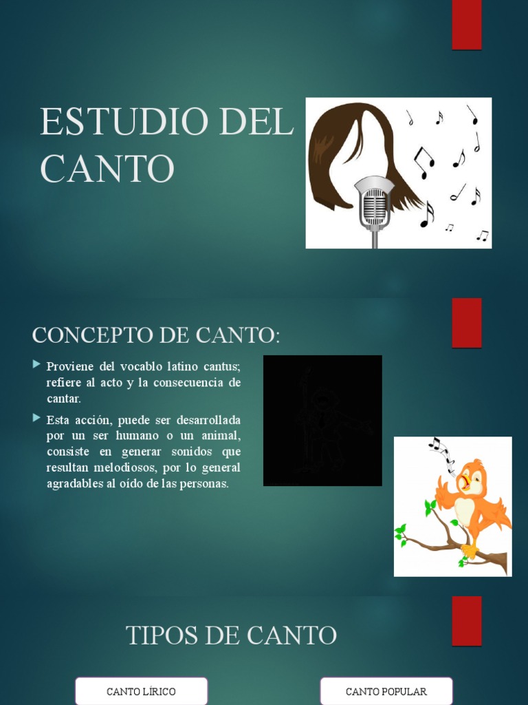 Tipos y Formas de Canto: Guía Básica | PDF | Estudios de idiomas ...