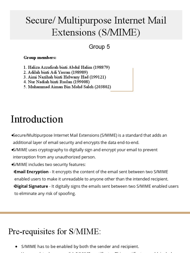 An Overview of Secure/Multipurpose Internet Mail Extensions (S/MIME): Its Features, Benefits and ...