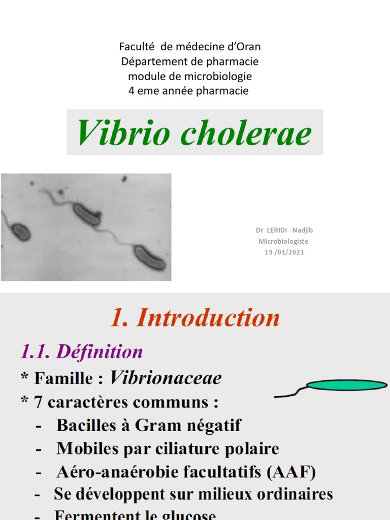 Vibrio | PDF | Développement personnel | Bien-être