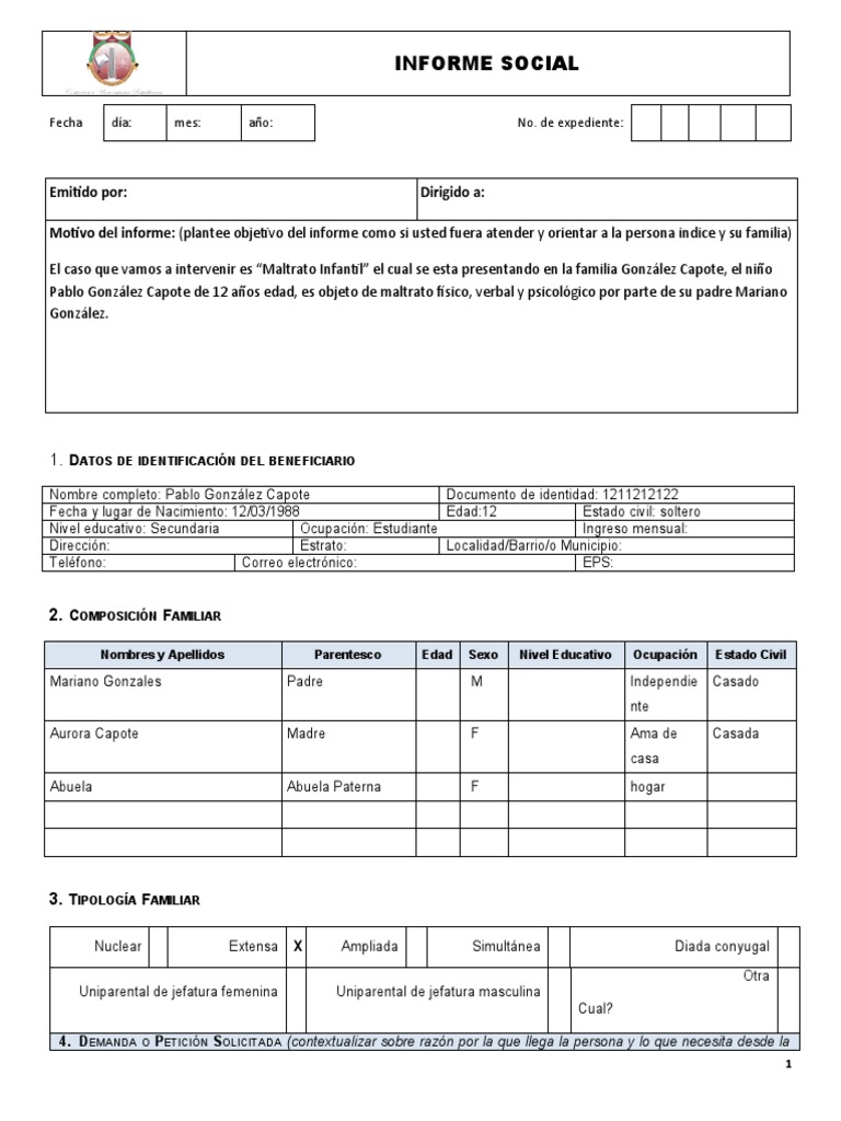 FORMATO DE INFORME SOCIAL en Word para Diligenciar | PDF