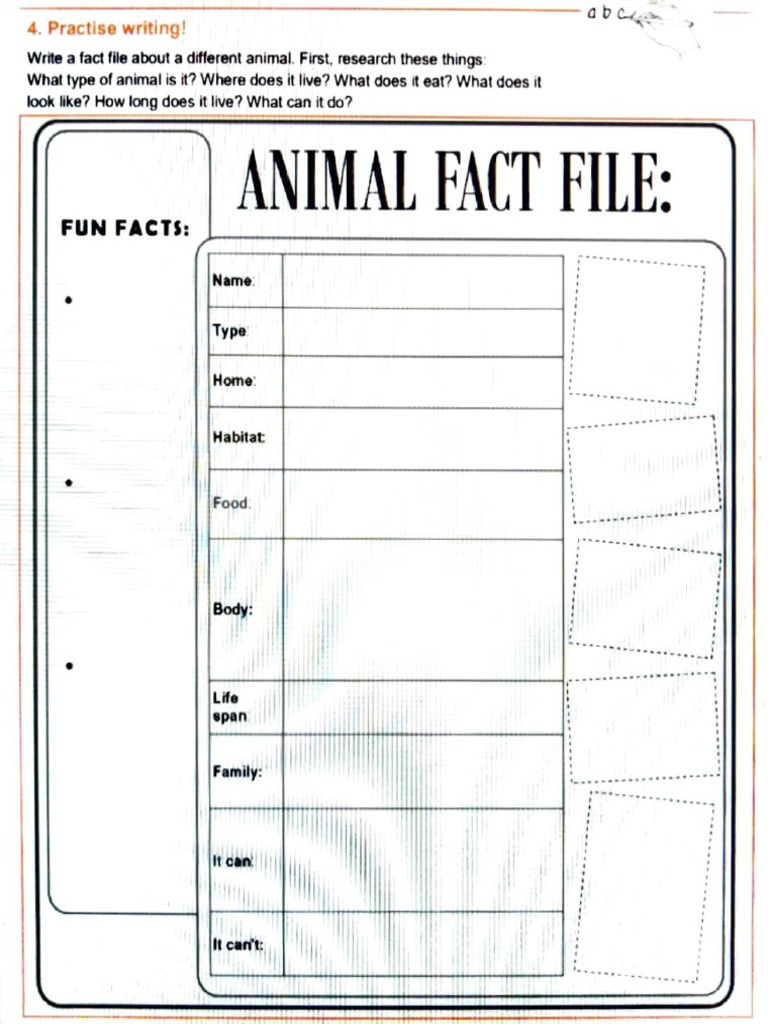 Animal Facts File Writing Grade 2 | PDF