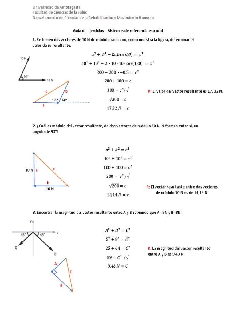 Guía de Ejercicios Biomecánica | PDF | Vector Euclidiano | Álgebra lineal