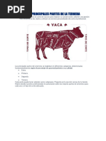 Partes de La Res | PDF | filete | Técnicas de cocina