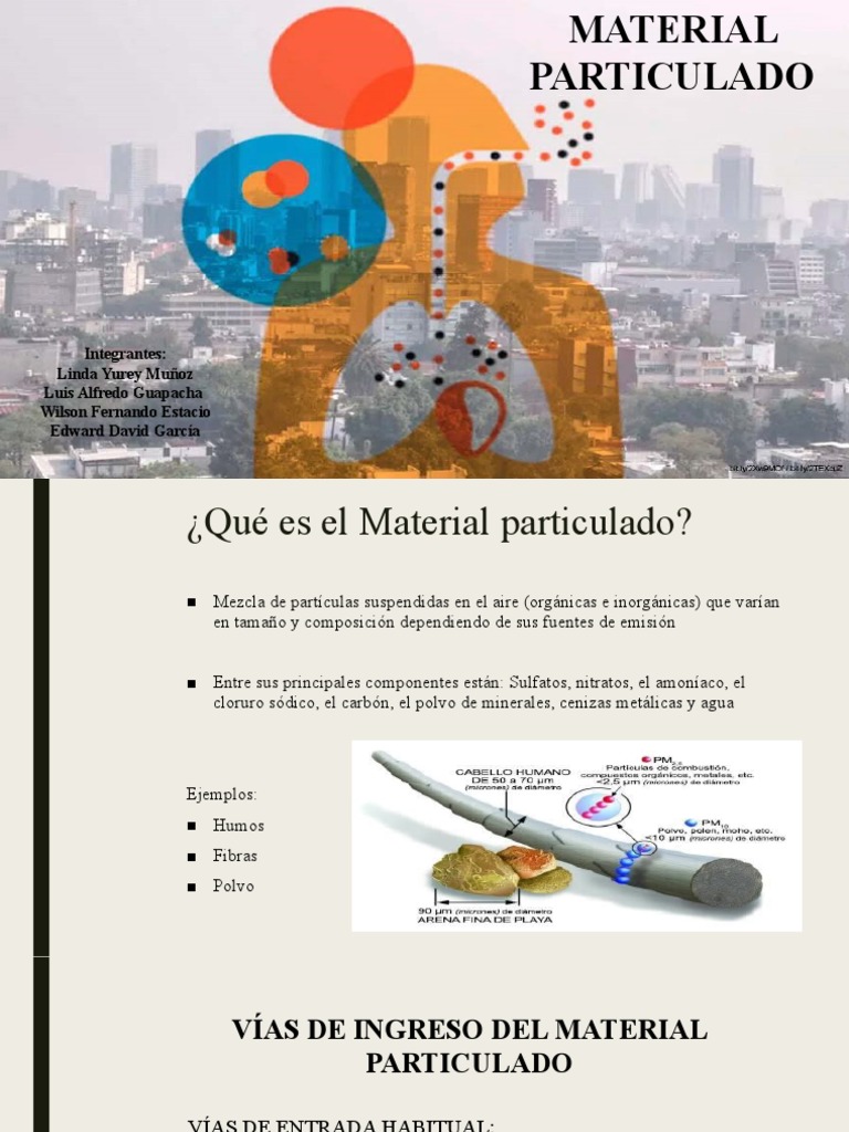 Material Particulado | PDF | Partículas | Naturaleza