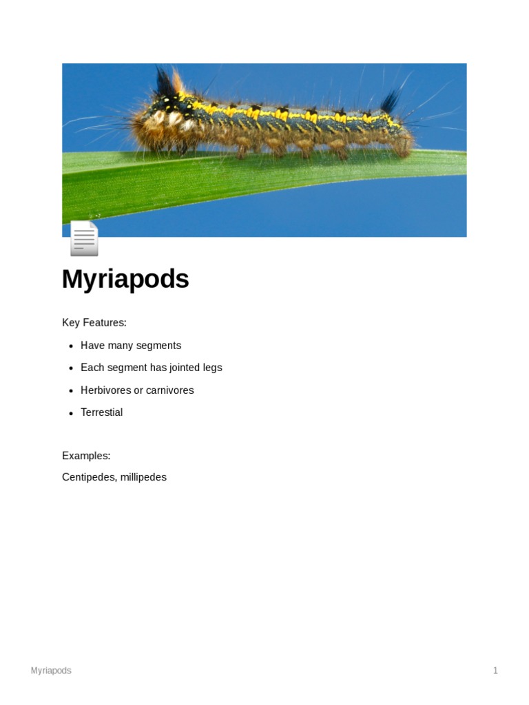Myriapods: Key Features: Have Many Segments Each Segment Has Jointed ...