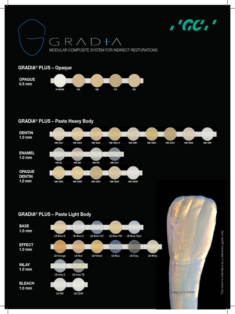 GC GRADIA PLUS-Carta Color | PDF