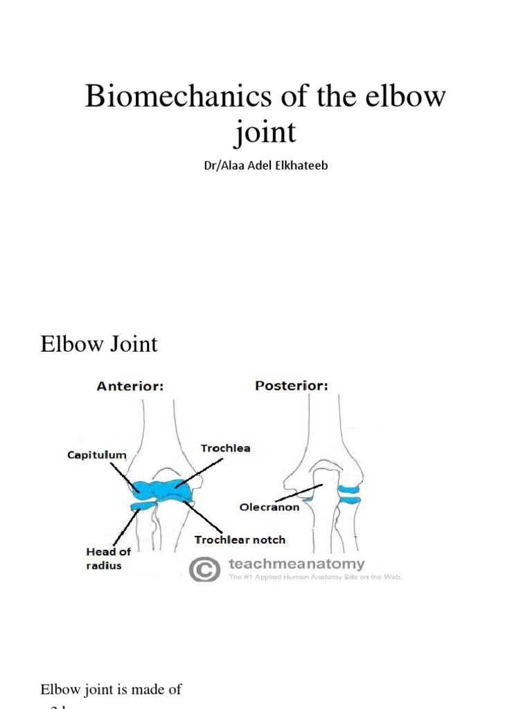 Elbow Joint Biomechanics Overview | PDF | Elbow | Anatomical Terms Of ...
